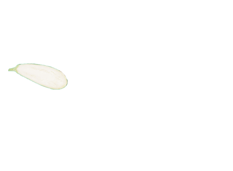 Napso-thérapie | Site Officiel sur le Métier et la Formation